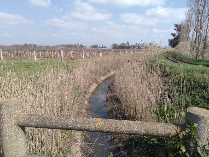 Consorzio di bonifica dell'agro pontino | LATINA – Loc. B.go Sabotino ... Consorzio di bonifica dell'agro pontino | LATINA – Loc. B.go Sabotino ...
